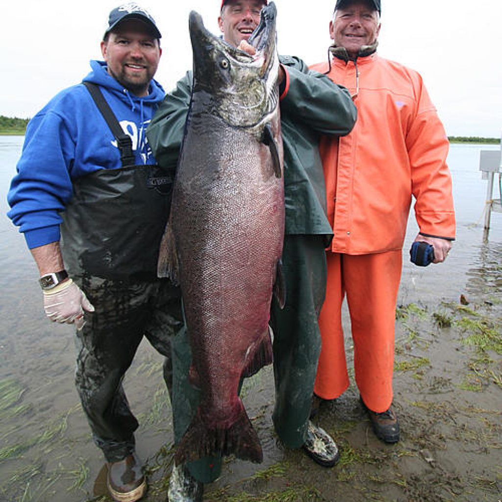Giant_king_Salmon | Alaska King Salmon
