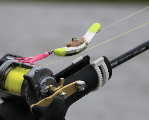 Smoked Salmon Candy | Alaska King Salmon